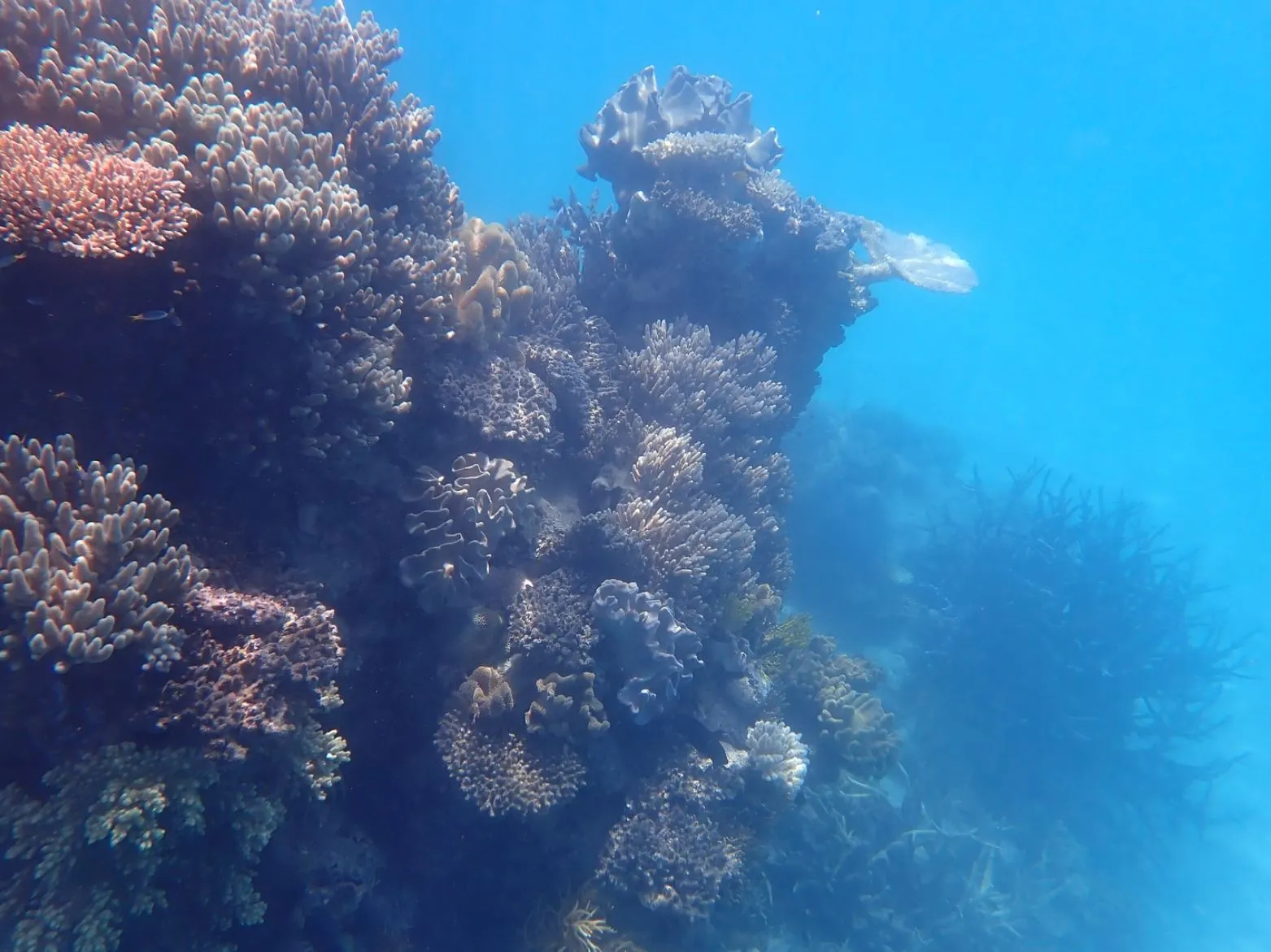 Is February a Good Time to Visit the Great Barrier Reef?